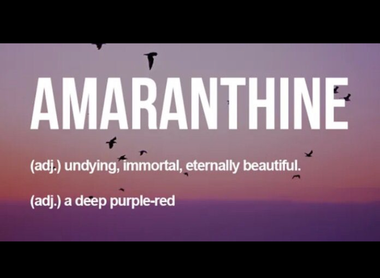 Amaranthine – Jacquilyn Berry Paintings